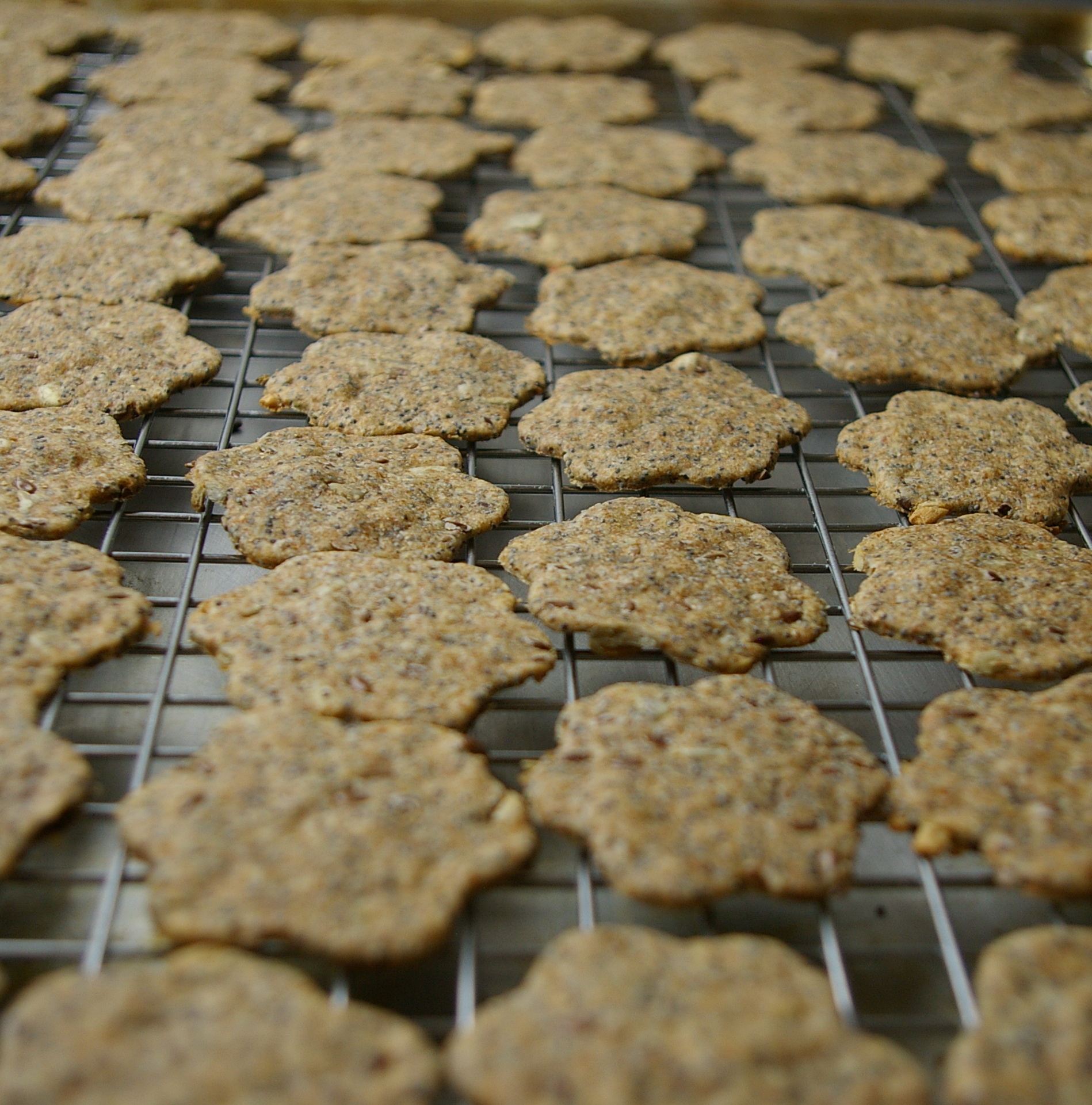 Seed Crackers | Ginger Smoothy and Otto Pilot